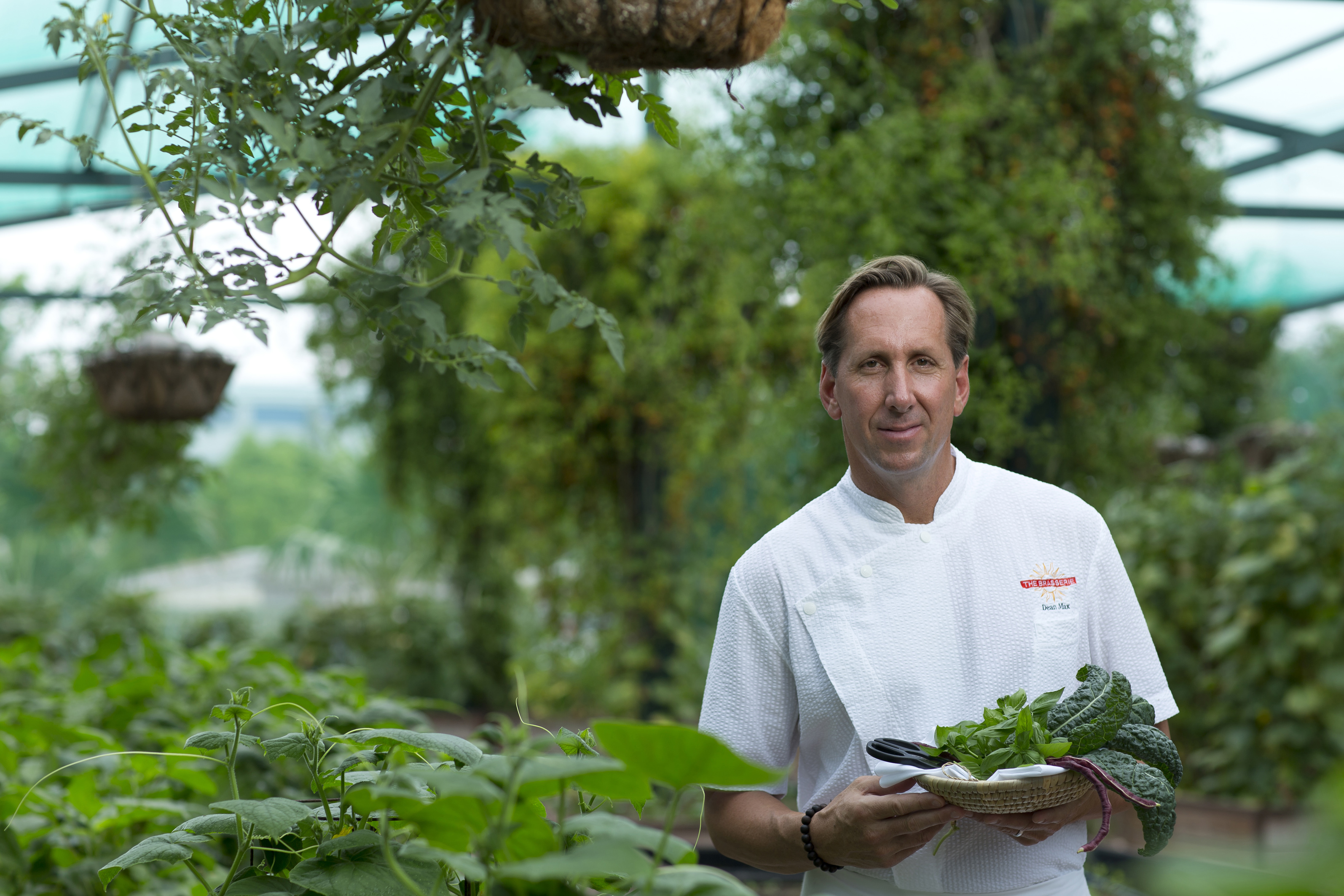 Dean Max - The Brasserie, Grand Cayman : The Brasserie, Grand Cayman